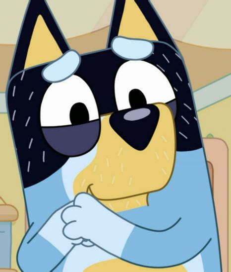 Screenshot Bandit Heeler Being Proud S02e20 By Shiyamasaleem On