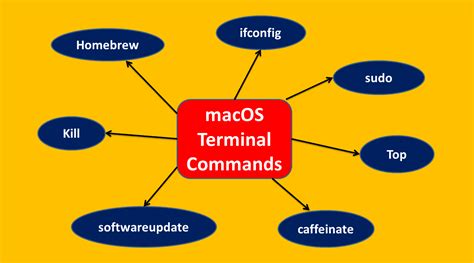 Essential Macos Terminal Commands Every User Should Know