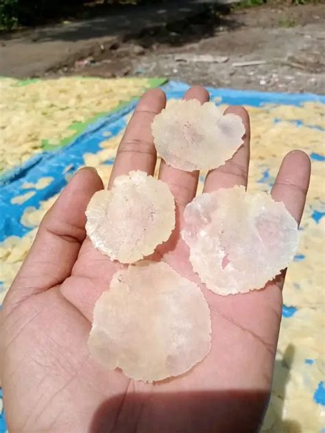 Emping Melinjo Emping Tangkil Emping Asli 1kg Lazada Indonesia