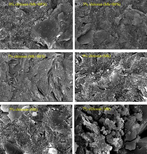 Sem Image Of The Mk And Mk Bfs Based Geopolymer With Various Chitosan
