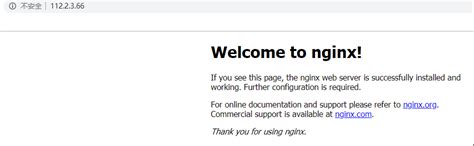 Nginx 代理后端通过域名访问 hukey 博客园