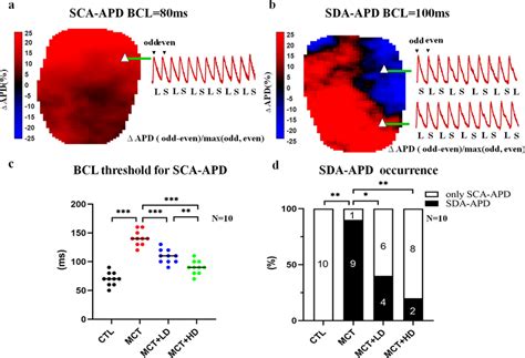 Assessment Of Apd Alternans A Representative Recording Of Sca Apd From
