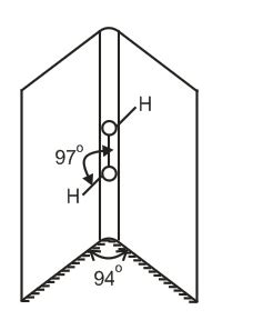 The Structure Of H O Is Tardigrade