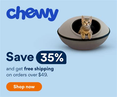 Ear Tipping For Cats Is It Ethical Why And How Its Done Pangovet
