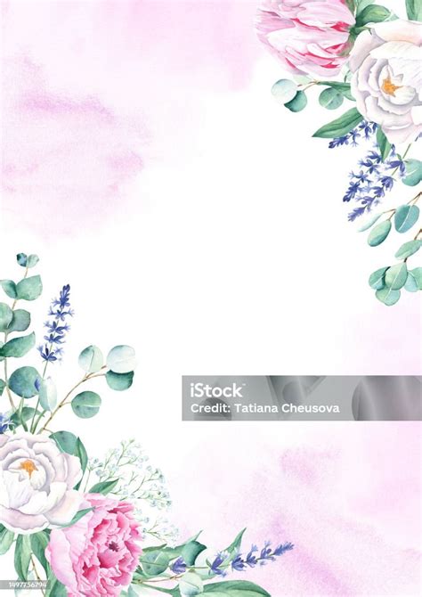 꽃 배경 카드입니다 흰색과 분홍색 모란 라벤더 석고 유칼립투스 보라색 수채화가 있는 청첩장 템플릿입니다 날짜 인사말 카드 포스터