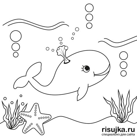 Китенок - Киты. Распечатать или скачать раскраску бесплатно