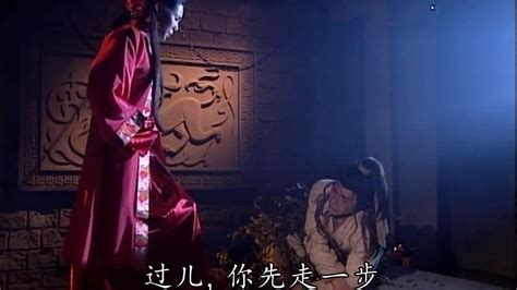 杨过身中情花毒，姑姑被逼成亲（5） 视频下载 Video Downloader