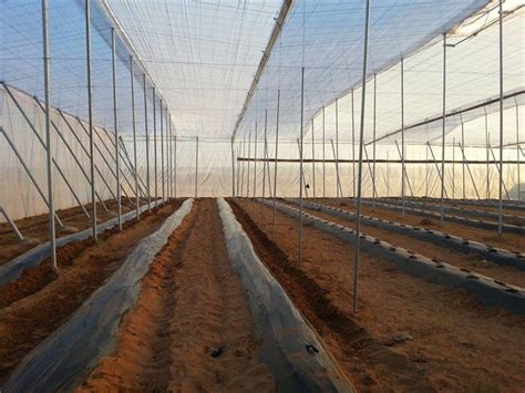 25 50 Mesh Insect Protection Netting High Tensile Strength For Pest