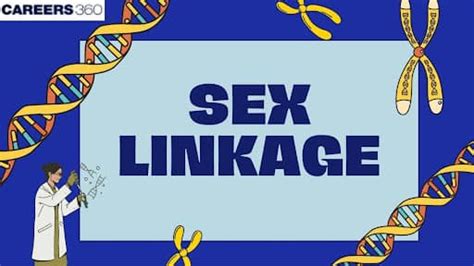 Define Sex Linkage Definition Overview Examples Explanation