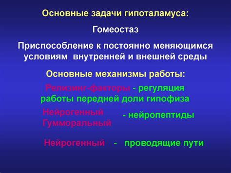 Таламус гипоталамус Занятие 6 презентация онлайн