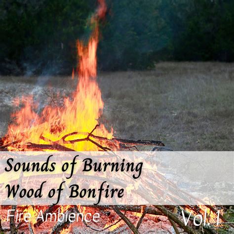 Fire Ambience Sounds Of Burning Wood Of Bonfire Vol 1 Album By