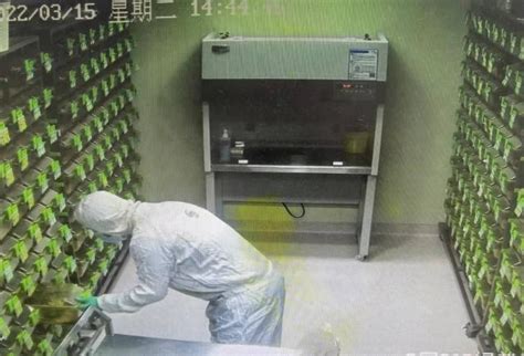 復旦大學上海醫學院：守護好校園裡的特殊「居民」 每日頭條