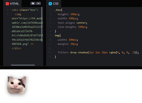 Box Shadow Vs Drop Shadow In Css Dev Community