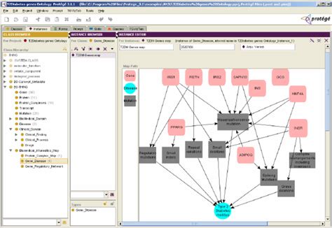 9 Protégé Ontology Structure For Genes And Mutation Types Related To