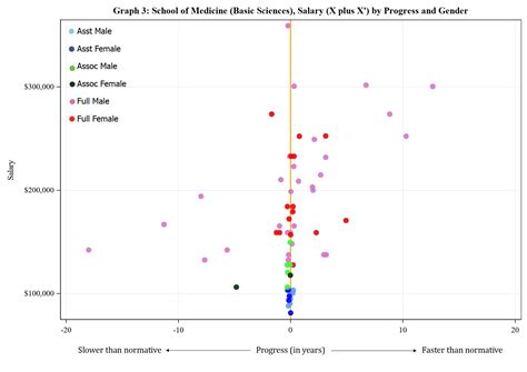 SOMBasic RankStepGender V Academic Personnel