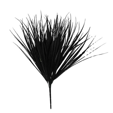 Black Grass Bush 50cm Desflora