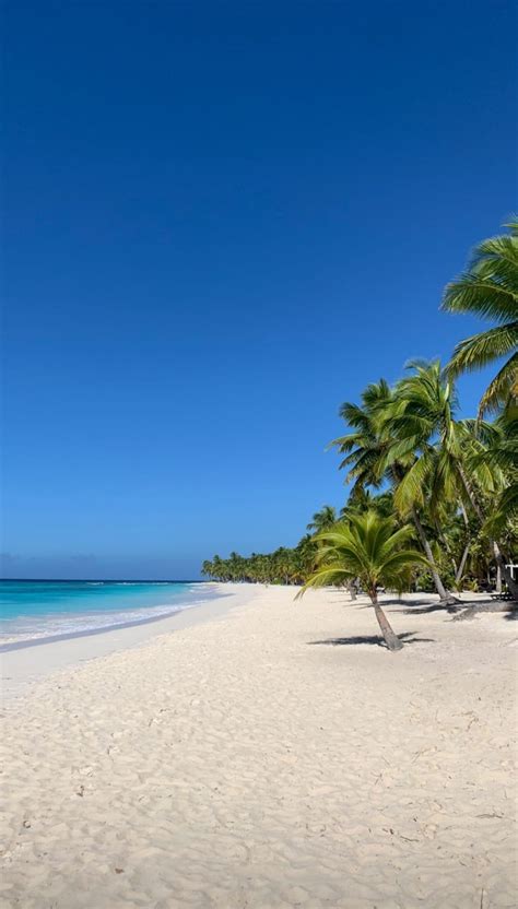 Татьяна Хотите петь ПОЙТЕ хотите танцевать ТАНЦУЙТЕ хотите черной икры с шампанским