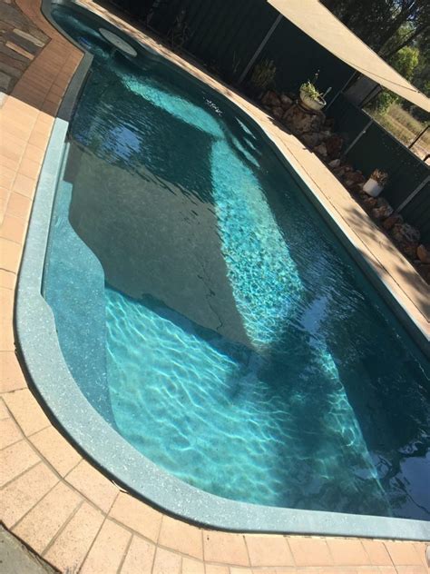 Algae Stain Removal Treatments For Algae Stains In Swimming Pools