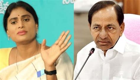 రేవంత్ రెడ్డి బాటలో షర్మిలధరణిని టార్గెట్ చేస్తూ సంచలన ఆరోపణలు Ys