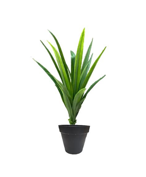 Artificial Pandanus ~100cm Craftway Floral And Ts
