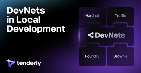 how devnets accelerate local smart contract development