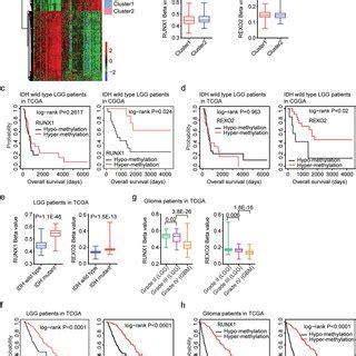RUNX1 And REXO2 Hyper Methylation Are Associated With The Favorable