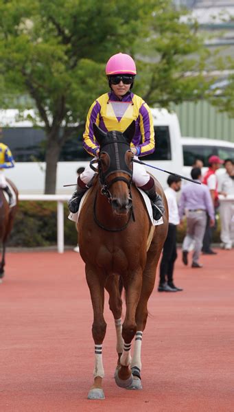 週刊gallop（weekly Gallop） On Twitter 阪神1rは5番人気 ハクアイアテナ が勝利！ 今村聖奈 騎手が