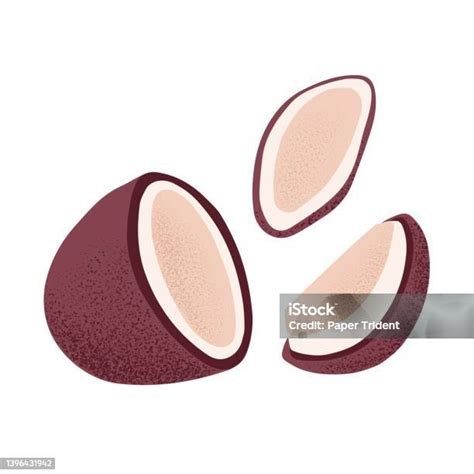 깨진 코코넛 반 조각과 조각 갈색 껍질에 열린 코코 너트 과일을 자릅니다 간단히 말해서 신선한 열대 이국적인 음식 흰색 배경에 격리된 평면 그래픽 벡터 일러스트 레이 션