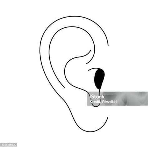 귀 해부학 아이콘 듣기에 대한 스톡 벡터 아트 및 기타 이미지 듣기 사람 귀 귀 검사 Istock