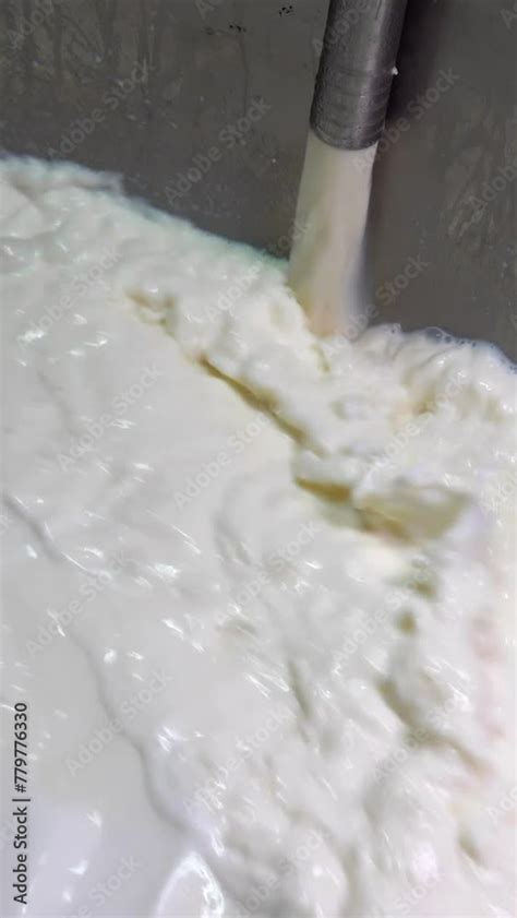 Milk Pasteurization And Safe Milk Production In Dairy Processing Plant