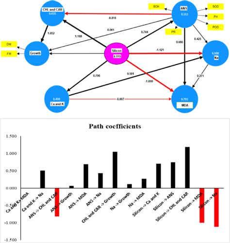 Partial Least Squares Path Modeling Pls Pm Disentangling Main