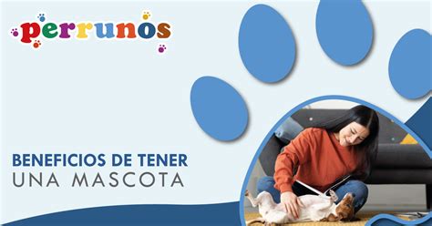 Beneficios De Tener Una Mascota Perrunos Veterinaria
