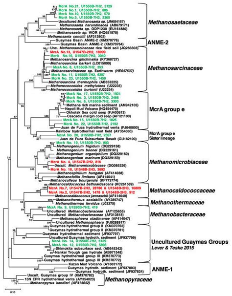 Microorganisms Special Issue Microbial Communities Involved In The Methane Cycle
