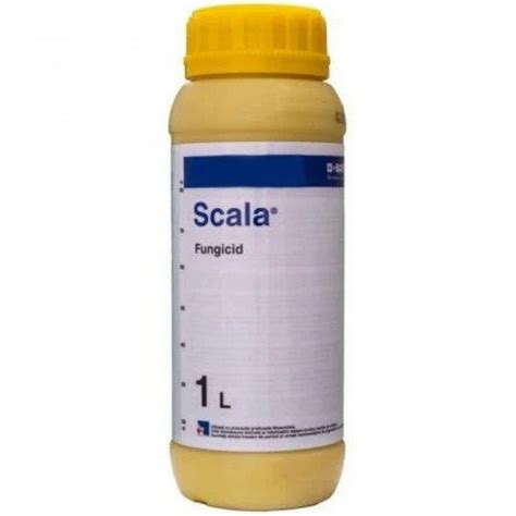 Fungicid Scala Basf