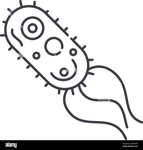 Microbe Icon Linear Isolated Illustration Thin Line Vector Web Design Sign Outline Concept