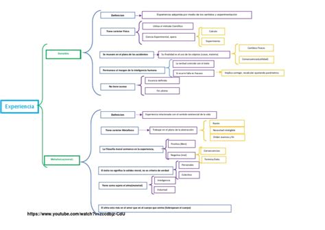 Mapa Sinoptico Pdf