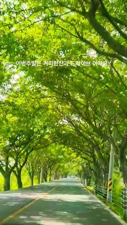 커피한잔과 드라이브힐링주말 Youtube