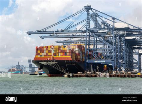 Gantry Cranes On Quayside Msc Istanbul Container Ship Port Of