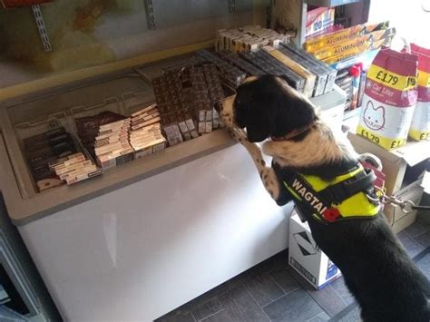 Illegal Tobacco Worth £25000 Seized From Local Shops In Hammersmith
