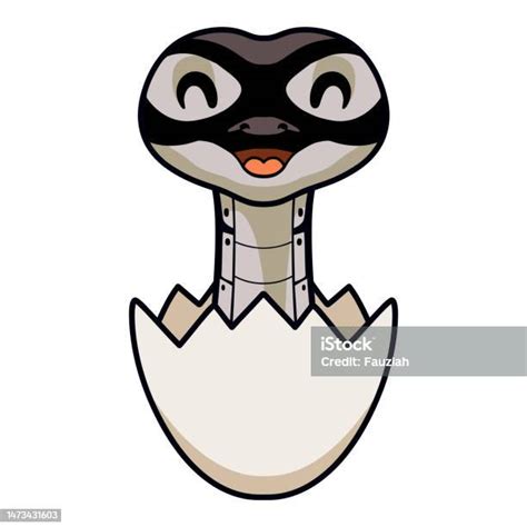 Kartun Ular Python Lucu Di Dalam Telur Ilustrasi Stok Unduh Gambar Sekarang Alam Anaconda