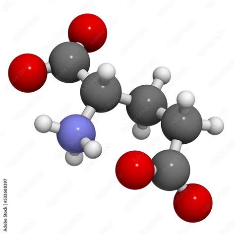 Glutamic Acid Glu E Glutamate Amino Acid Neurotransmitter And