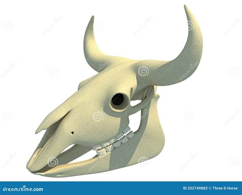 Bison Skull Anatomy 3d Rendering Stock Illustration Illustration Of