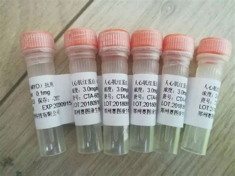 MYO抗原 郑州赛图康生物科技有限公司