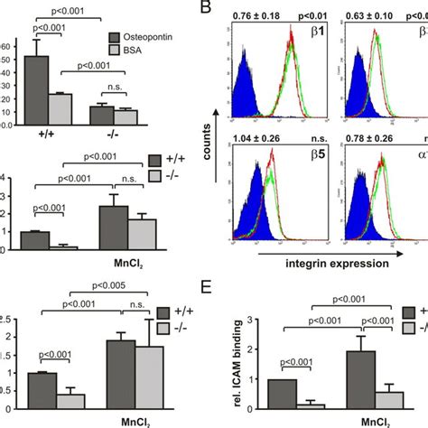 Impaired Adhesion And M Csf Signaling In Kindlin 3−− Pre Osteoclasts