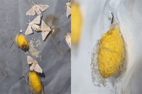 Best Fabrics For Winter And Cold Weather Warmest Sustainable Textiles