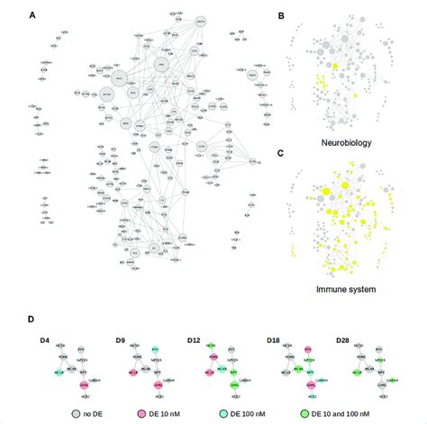 De Genes Functionally Cooperate With Each Other A Subnetwork