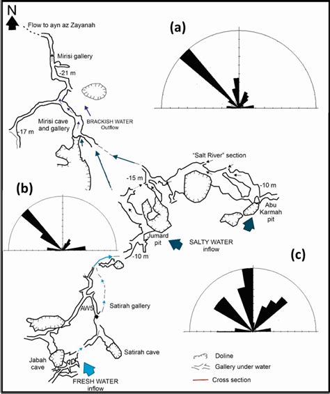 Map Of Passages Of The Conduit System And Rose Diagrams Of Passage