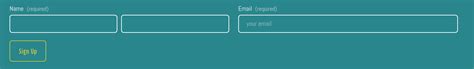 Form Name Placeholder Text Customize With Code Squarespace Forum