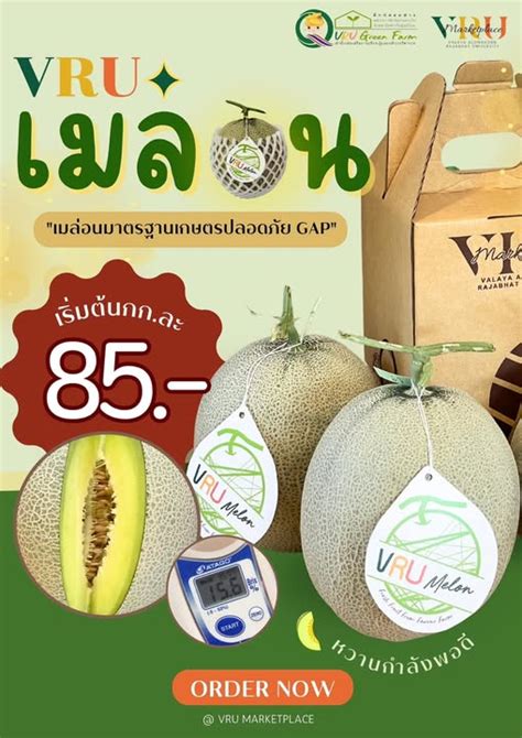 Vru Marketplace Test Vru For Sustainable Development