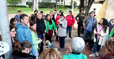 Distrito Evalúa Presunto Envenenamiento De Animales En Parques Bogota